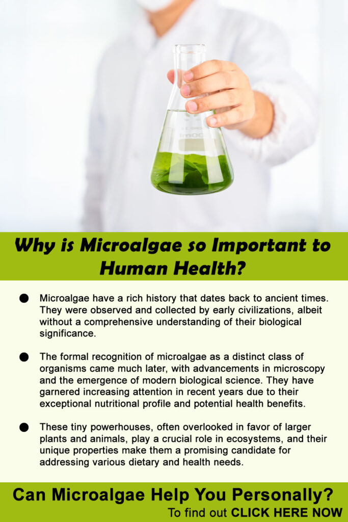 Microalgae: Nature’s Tiny Powerhouses of Nutrients and Health Benefits - VitaminPROS