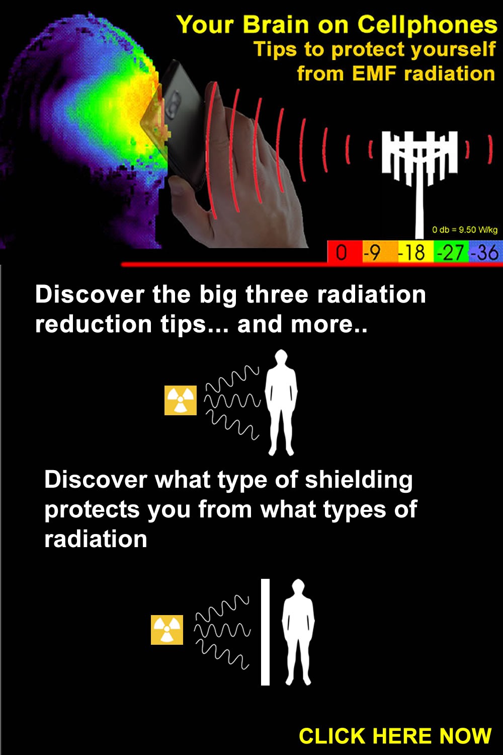 EMF Dangers and How to Protect Against It - VitaminPROS